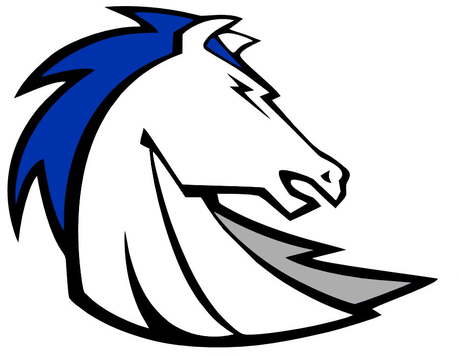 Clear Springs Volleyball